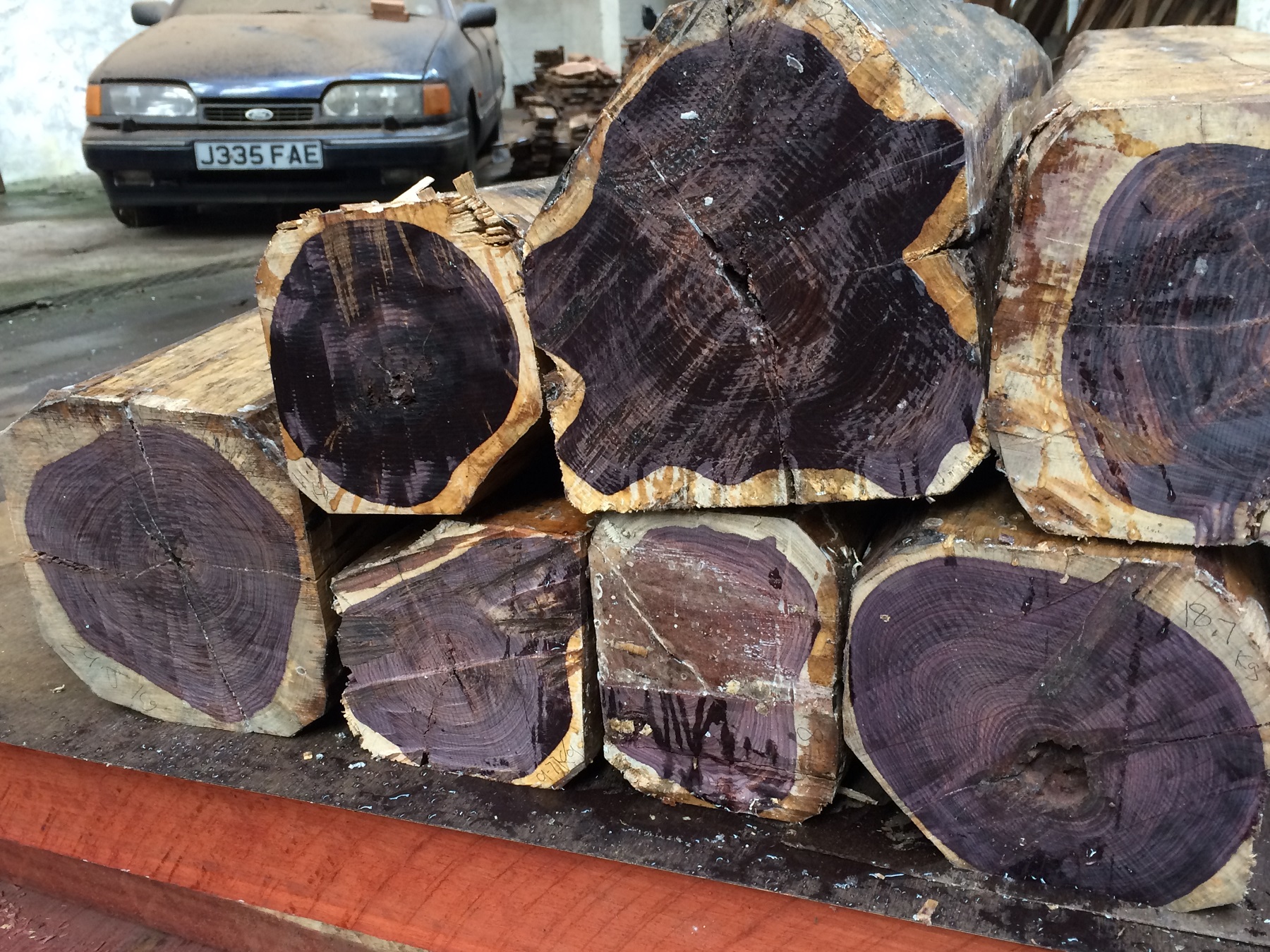 Gallery - Woodwise UK