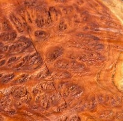AUSTRALIAN BURLS Archives - Woodwise UK