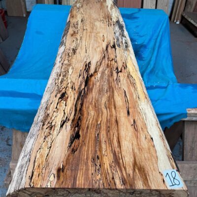 SPALTED BEECH Archives - Woodwise UK