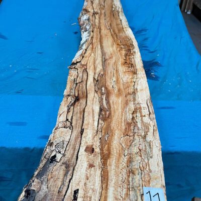 SPALTED BEECH Archives - Woodwise UK