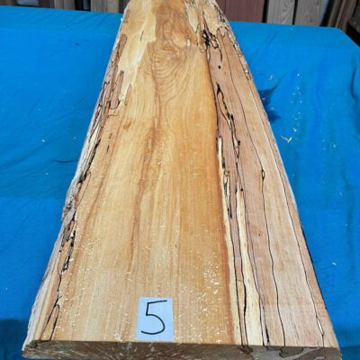 SPALTED BEECH Archives - Woodwise UK