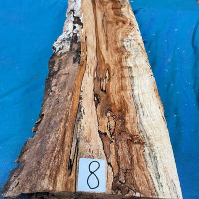 SPALTED BEECH Archives - Woodwise UK