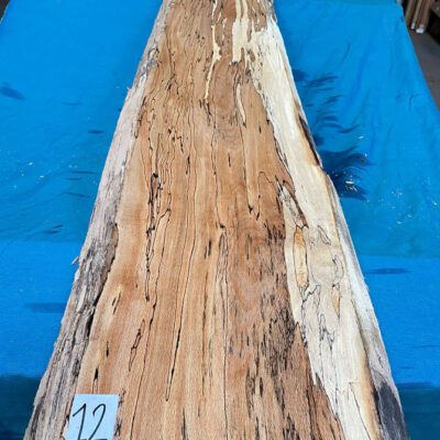 SPALTED BEECH Archives - Woodwise UK