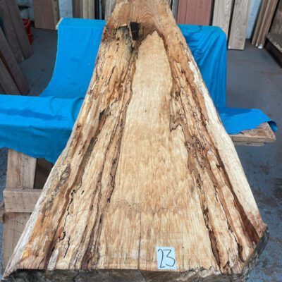 SPALTED BEECH Archives - Woodwise UK