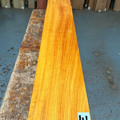 OSAGE ORANGE Archives - Woodwise UK
