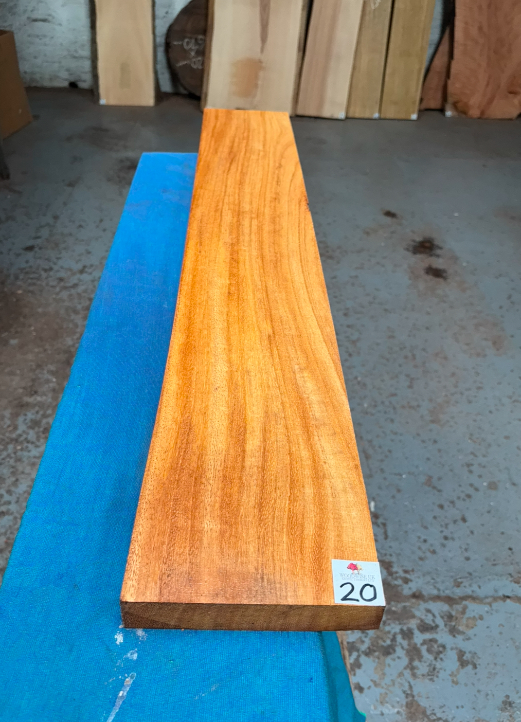 Wild Mango 1015x155x29 mm WM20 - Woodwise UK