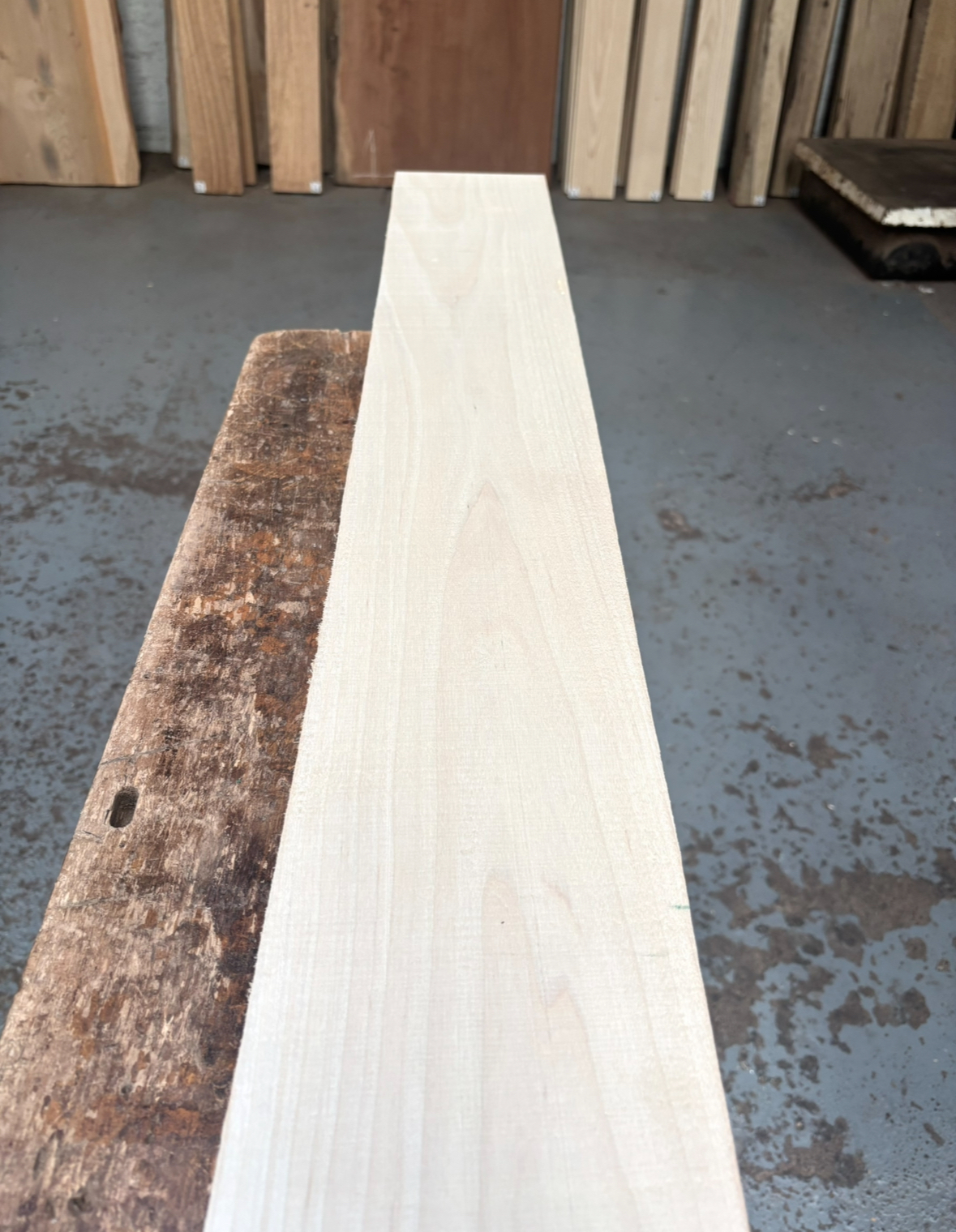 Maple 1005x145x23 mm M16 - Woodwise UK