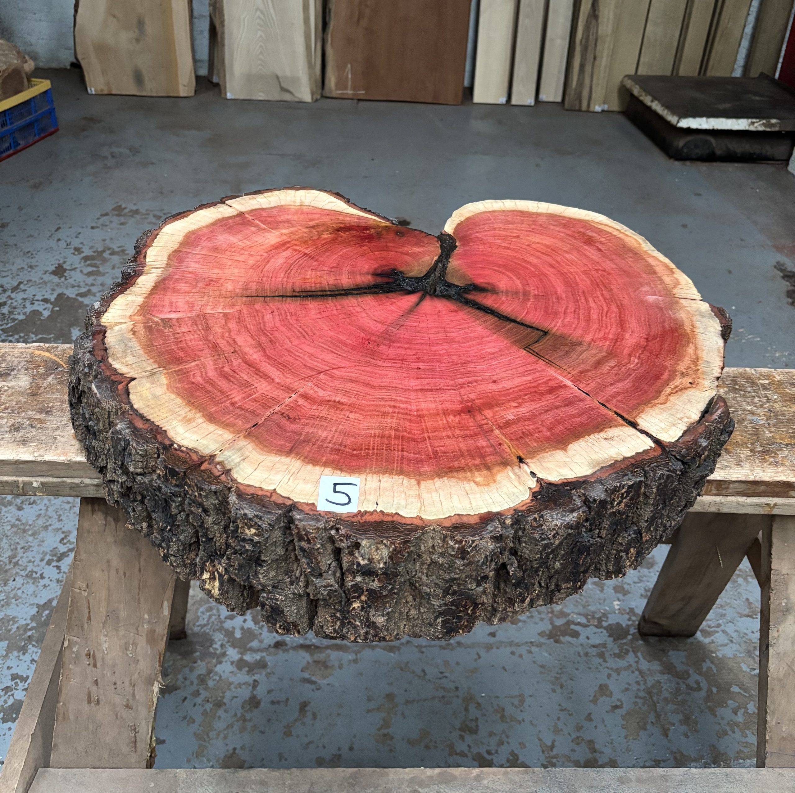 Pink Ivory Cookie / Oval 640x600x125 mm PIC5 - Woodwise UK